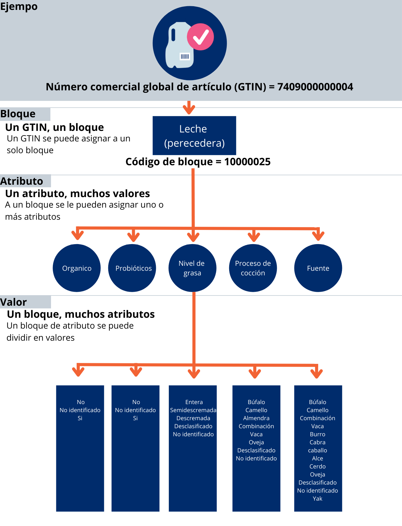 Cómo funciona la clasificación global de productos (GCP) – GS1 Guatemala